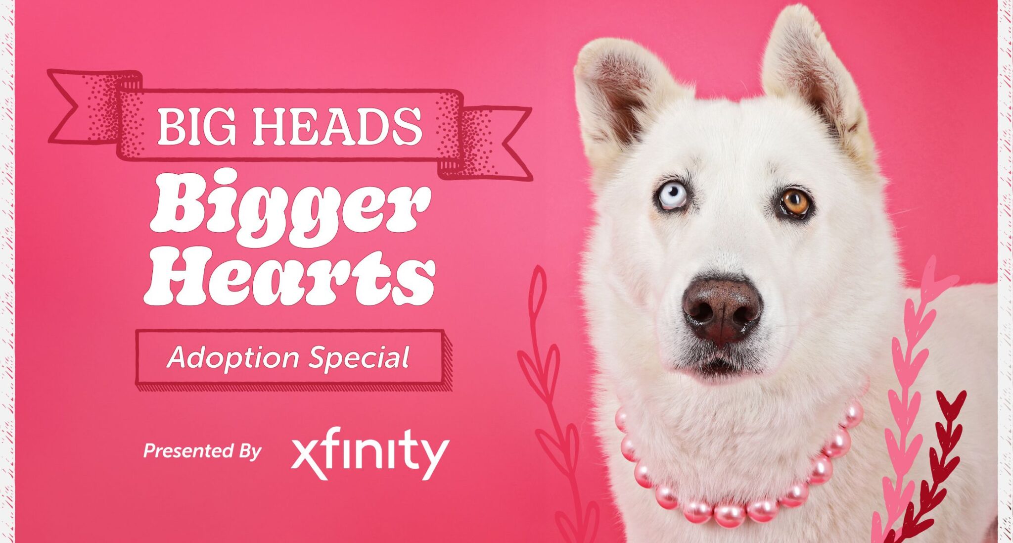 Adoption Special Blog banner - Humane Society of Utah