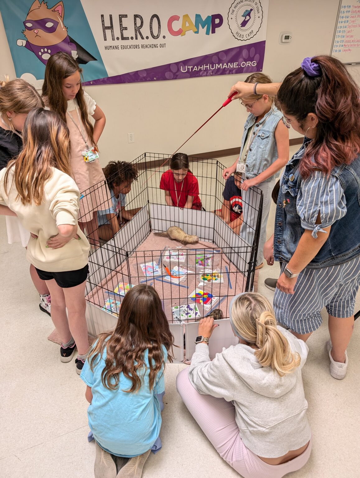 HERO Kids Camps - Humane Society of Utah