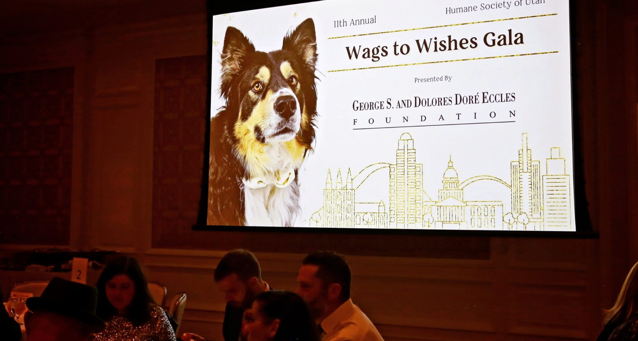 Celebrating Compassion: Highlights from HSU’s 2023 Wags to Wishes Gala ...