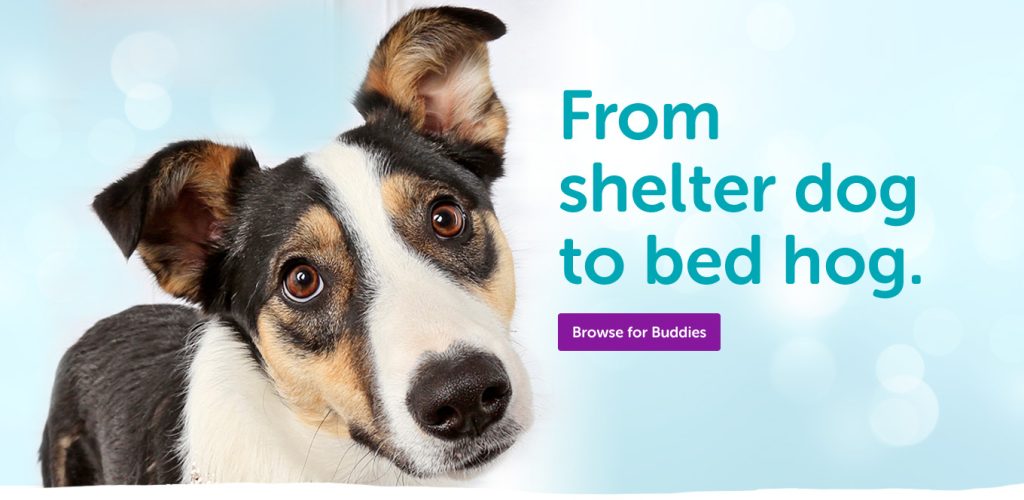 home-banner - Humane Society of Utah